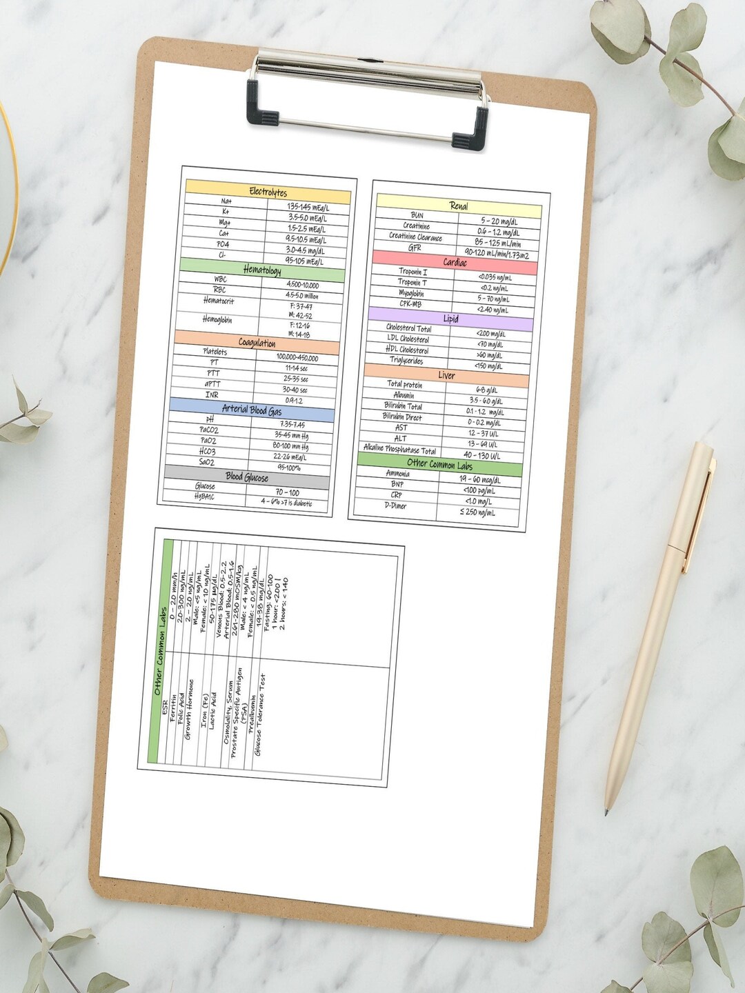Lab Values/panel and Adult Vital Signs - Etsy
