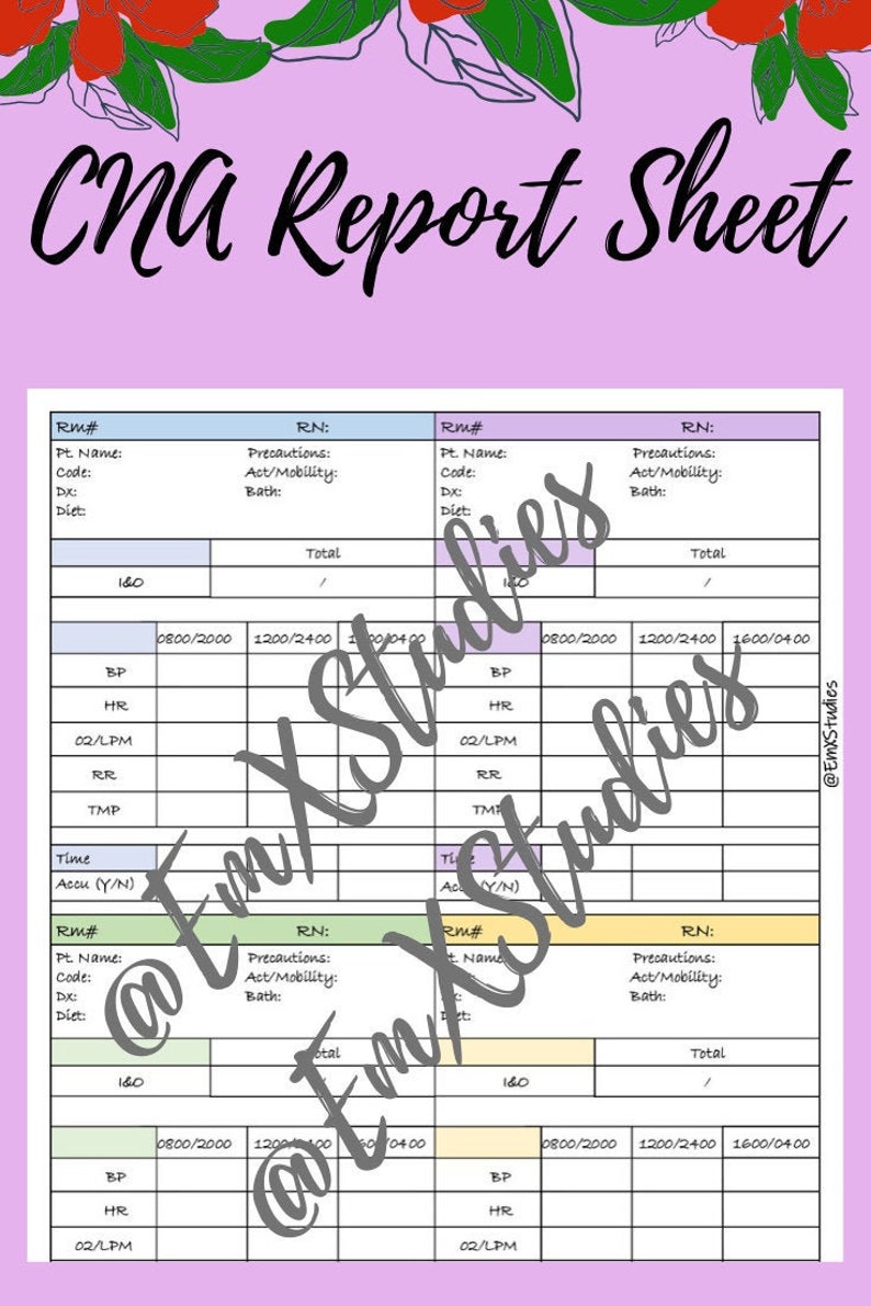 CNA Report Sheet, CNA Daily Flowsheet - Etsy