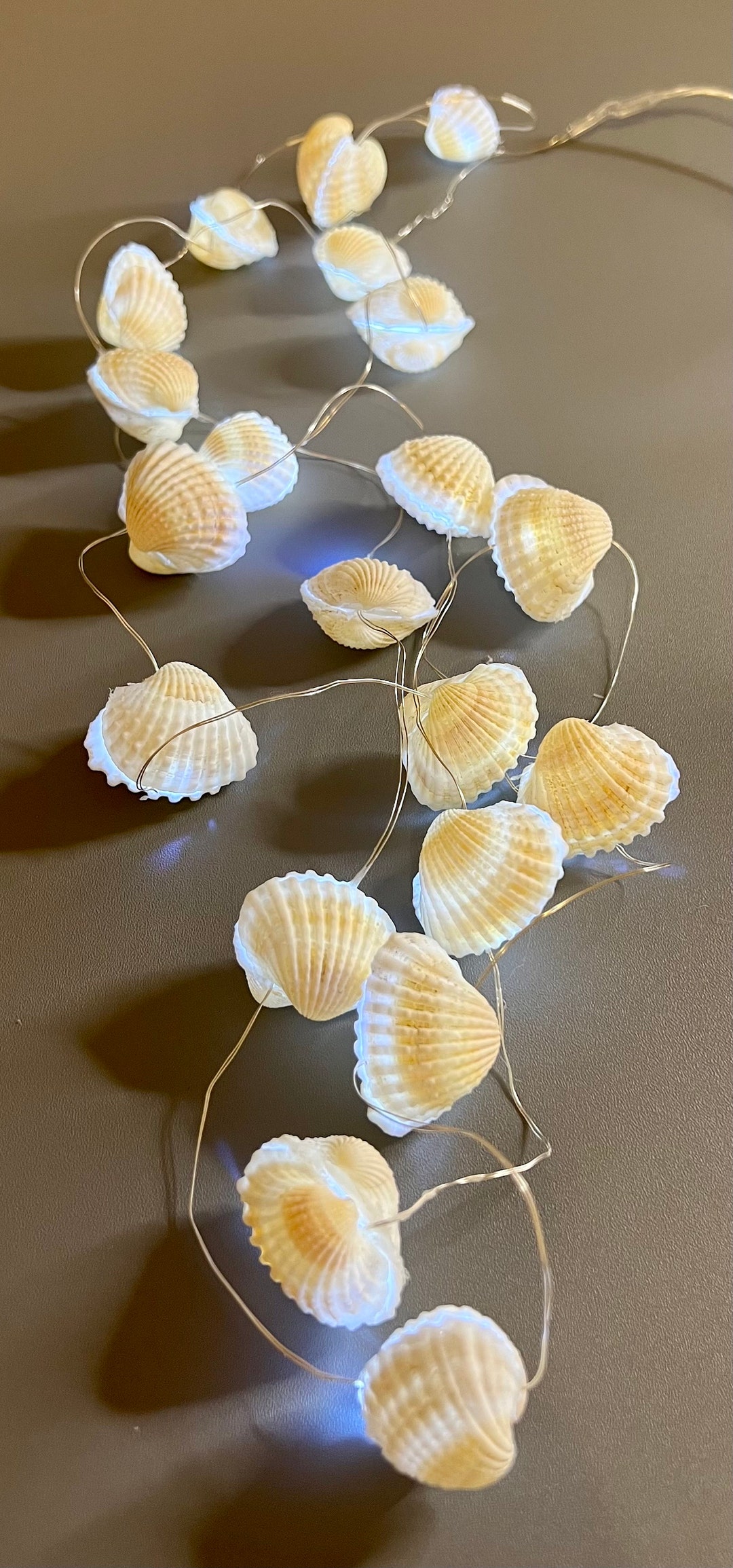 Seashell Lights Seashell Light Gift Seashell Light Decor - Etsy