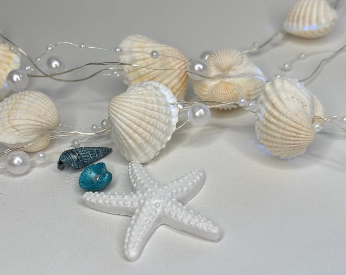 Small Seashell Night Light-accent Light Seashells Low Wattage Shell ...