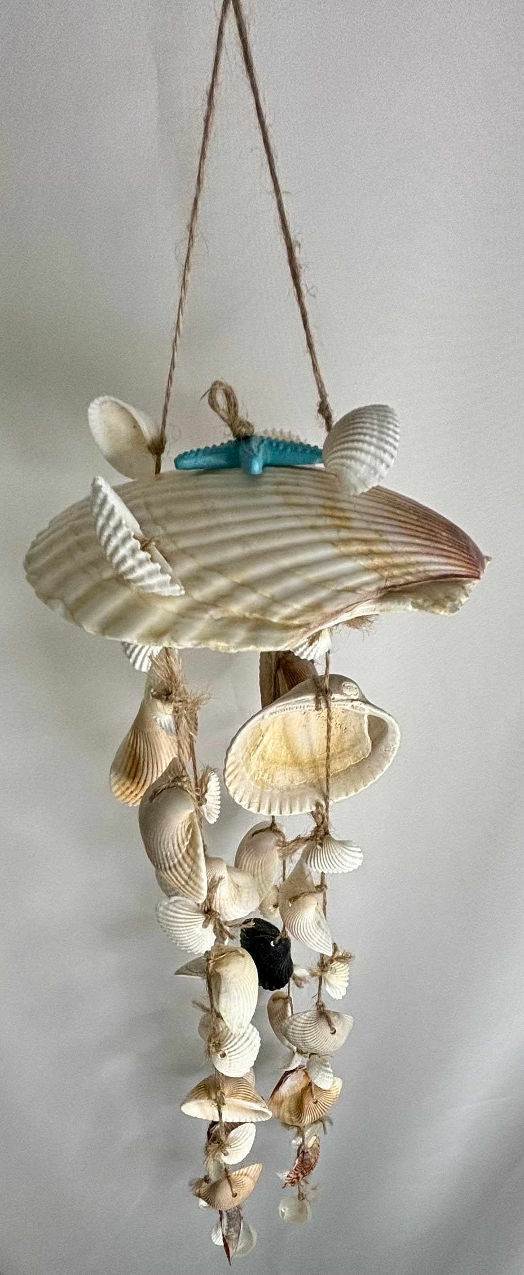 Coastal Chime, Beach Chime Decor, Beach Shell Chimes, Seashell Chime ...