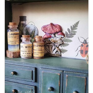 New! Redesign With Prima "midnight Muses" Decor Mould, Insects Mold ...