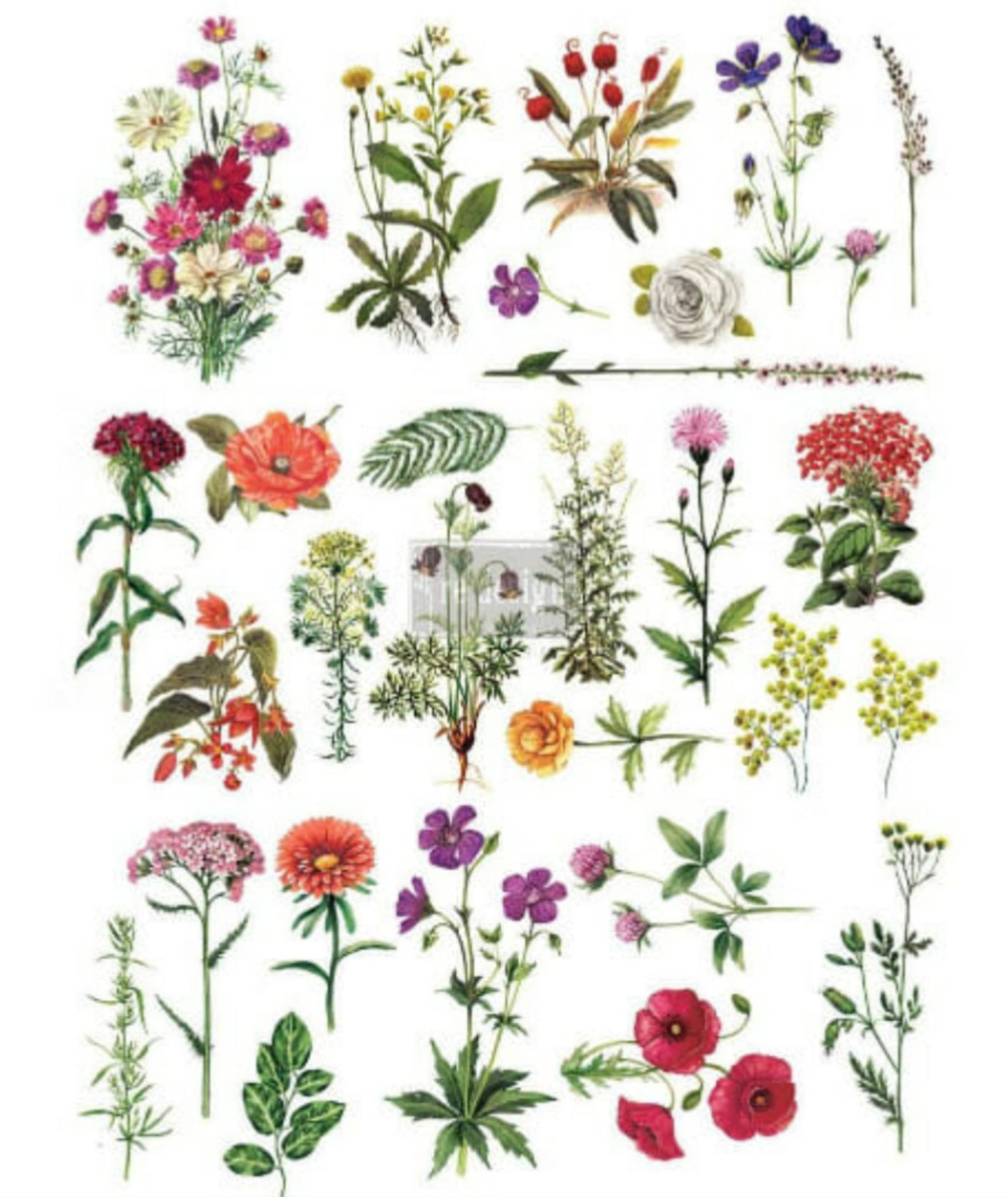 Redesign With Prima floral Collection Decor | Etsy