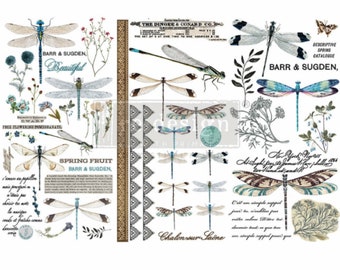 Redesign With Prima dreamy Florals Decor Mini Transfer, Small Rub on ...