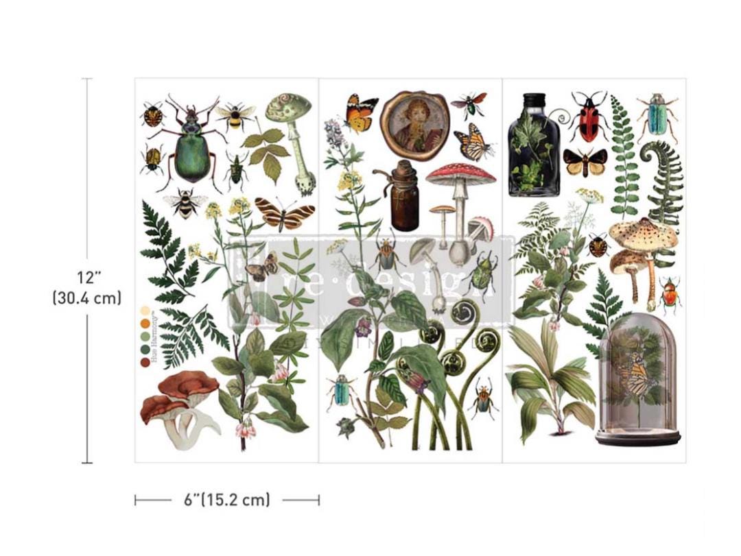 New! Redesign With Prima "botanical Archives" Mini Decor Transfers ...