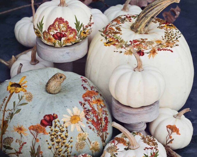 Redesign With Prima "dried Wildflowers" Middy Decor Transfer, Fall ...