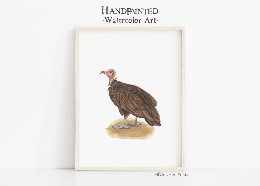 Vulture Watercolor Art Print, DIGITAL DOWNLOAD, Desert Animal, Animal ...