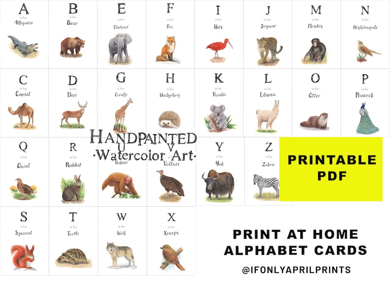 Animals ABC Flash Cards, Animal Alphabet, Minimal Abc Cards, Printable ...