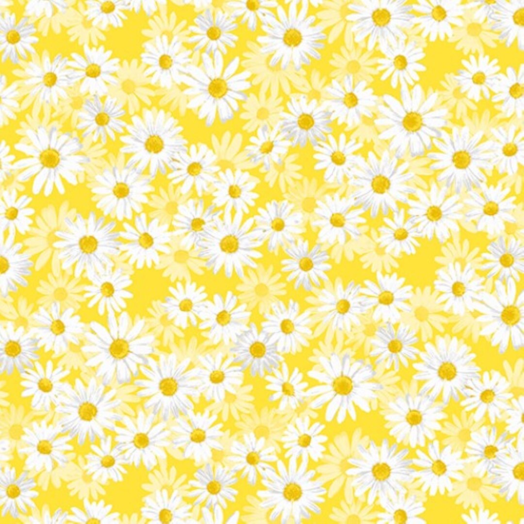 108 Daisy Dance Yellow - Etsy