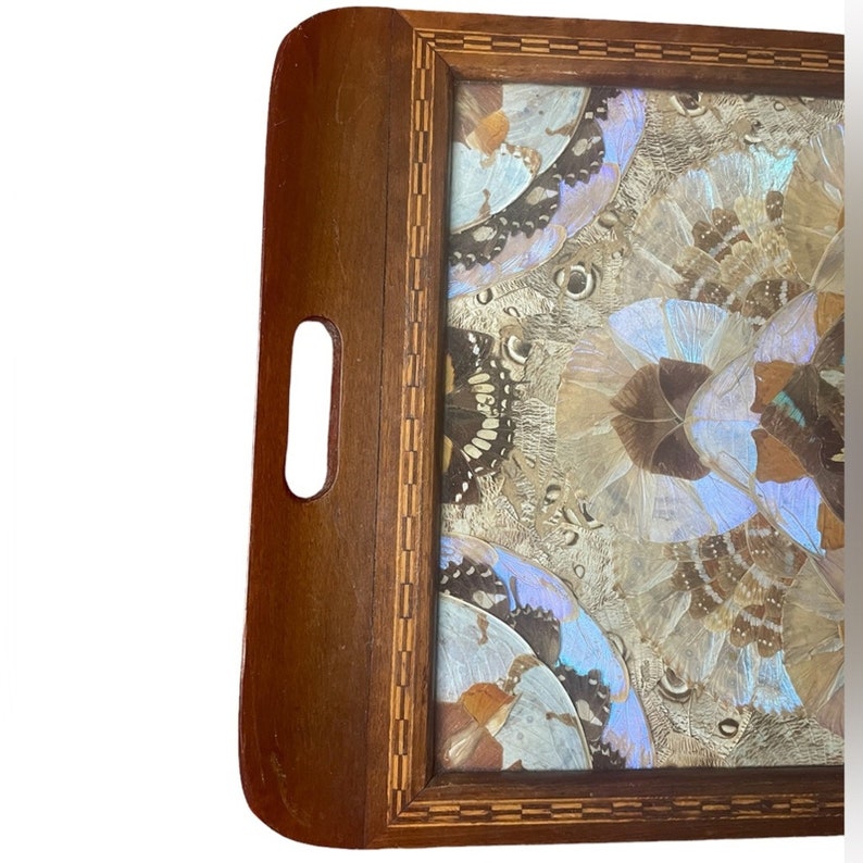 Vintage Hardwood Glass Inlaid Butterfly Wings Tray - Etsy