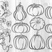 Halloween Line Art Pumpkins SVG Clipart Creative DIY Projects, Lineart ...