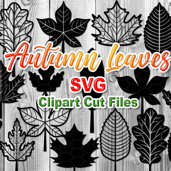 Leaves Svg - Etsy