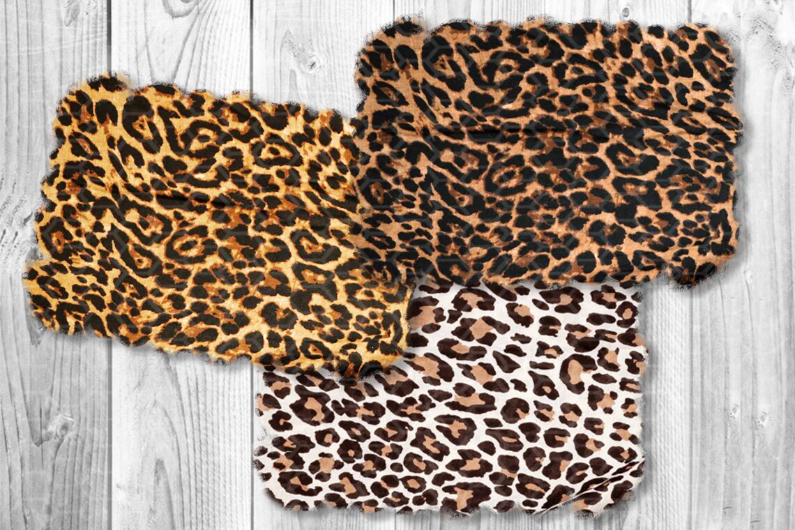 Brown Leopard Sublimation PNG Background Design Decorative Clipart ...