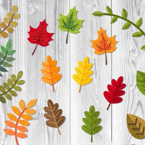 Fall & Autumn Elements SVG Set, Sunflower, Acorn, Oak, Maple Leaves ...