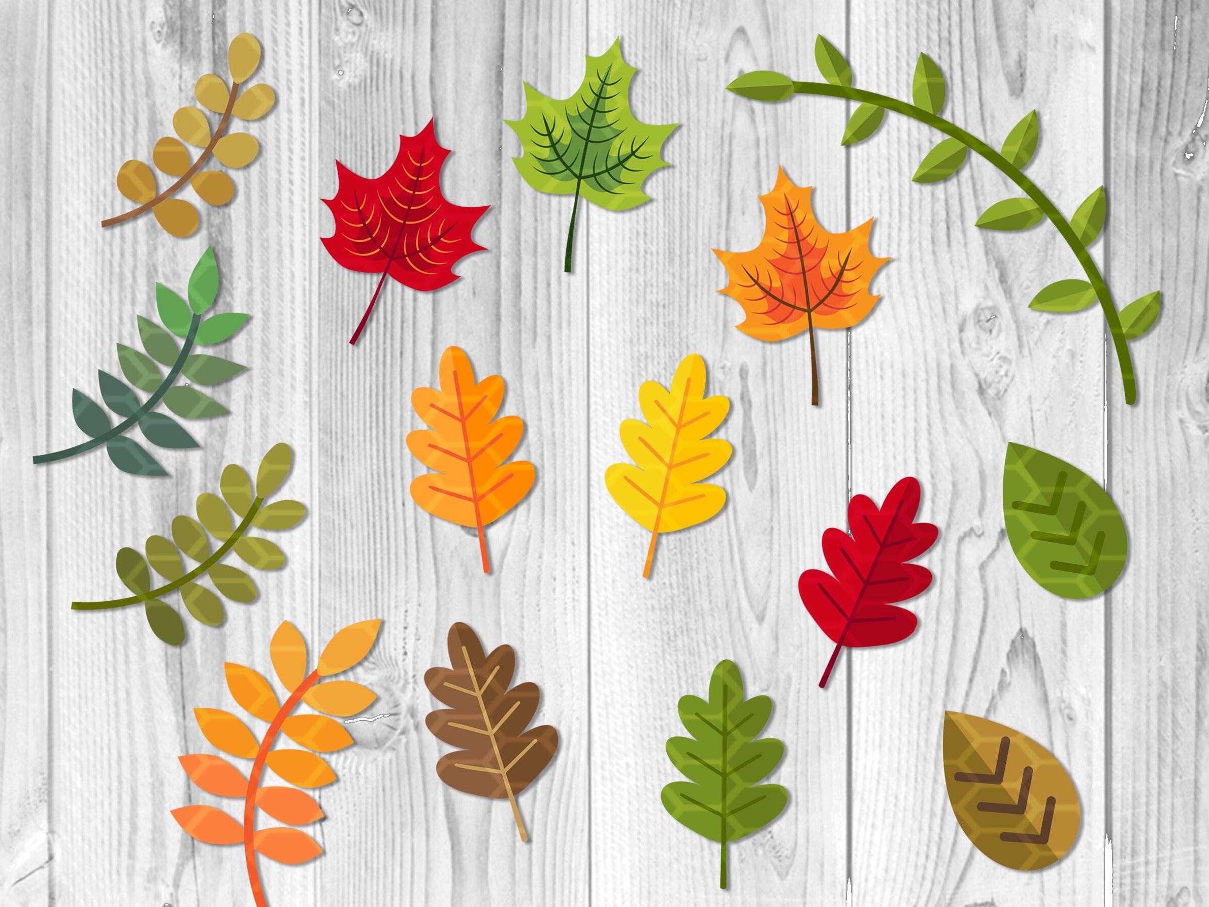 Fall & Autumn Elements SVG Set Sunflower Acorn Oak Maple - Etsy