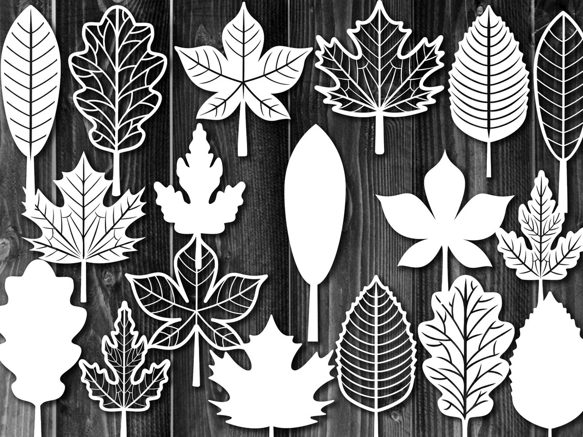 Fall Autumn Leaves SVG Clipart Laser Cut Files Set of - Etsy