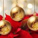 Christmas SVG Pine Tree Clipart Design V.3 Decorative Elements Digital ...