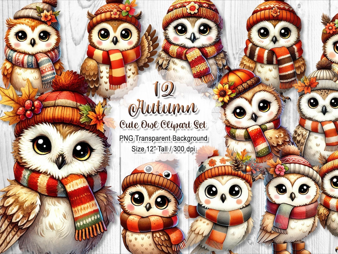 Cute Autumn Owl Clipart, Fall Animal PNG Bundle, Cozy Owl Sublimation ...