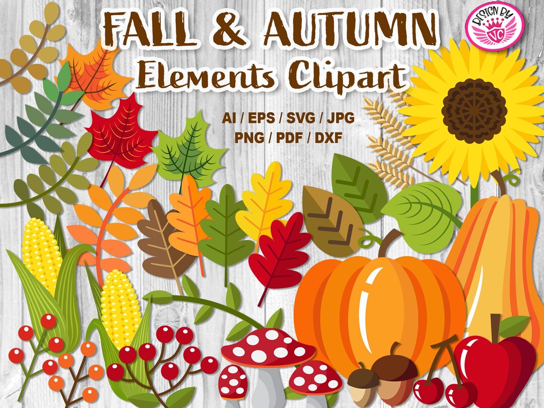Fall & Autumn Elements SVG Set, Sunflower, Acorn, Oak, Maple Leaves ...