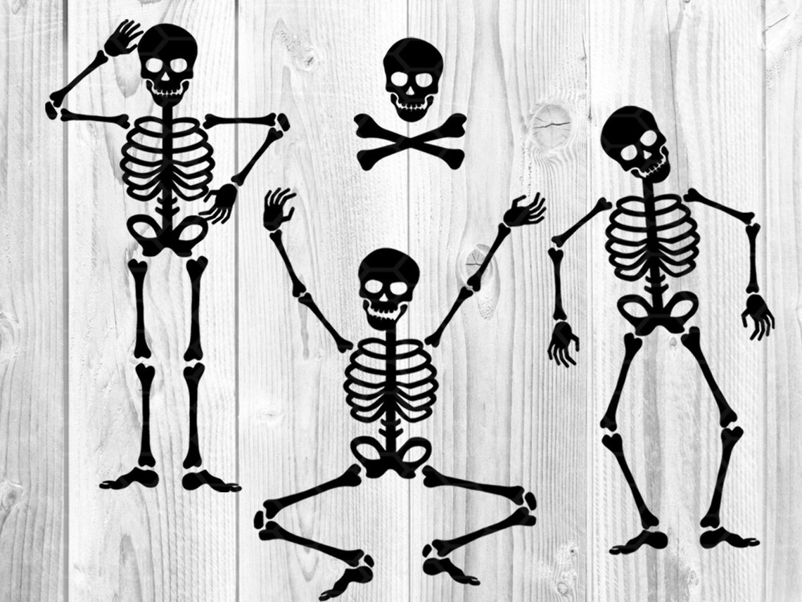 Halloween Skeleton SVG Instant Digital Download Creative DIY Vinyl Cut ...