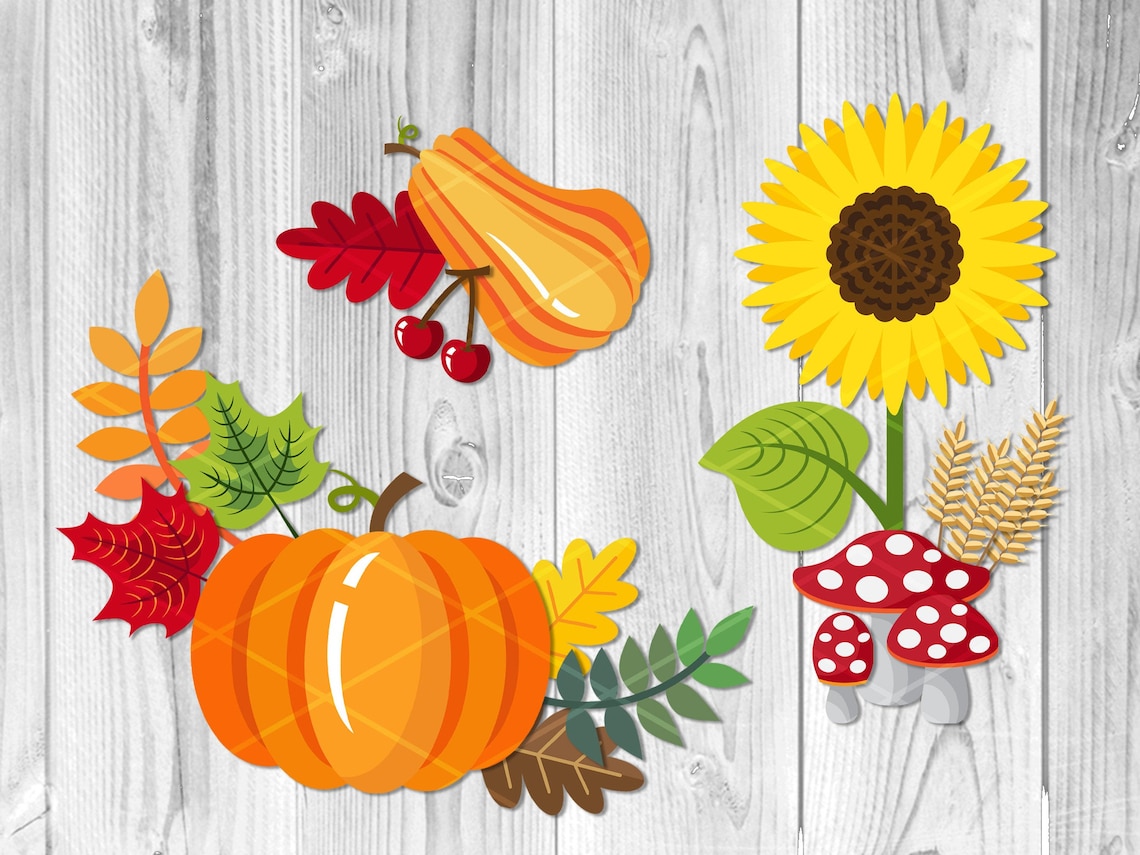 Fall & Autumn Elements SVG Set Sunflower Acorn Oak Maple - Etsy