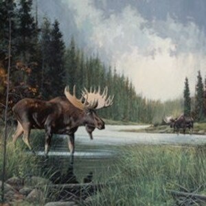 Moose Lake Earth Fabric Panel by Northcott Fabrics This is a Beautiful ...