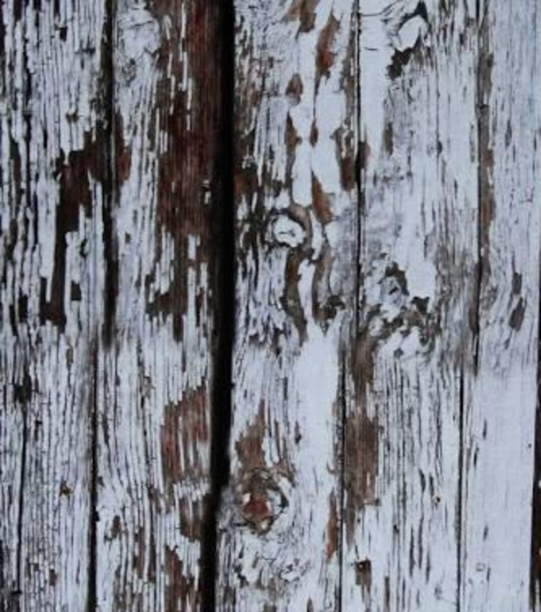 Gray Barn Wood Fabric by Hoffman Fabrics V5219 48,**this is a 72-inch ...