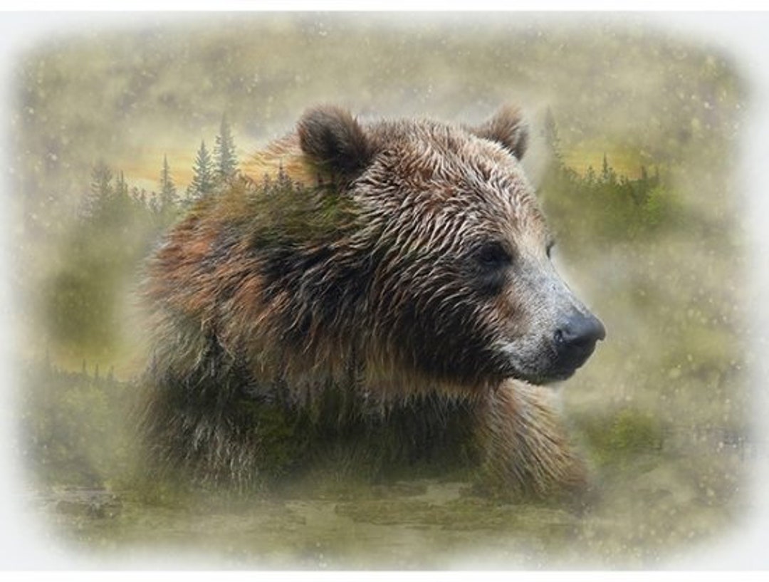 Grizzly Call of the Wild Panel by Hoffman Fabrics U5063 260 This Panel ...