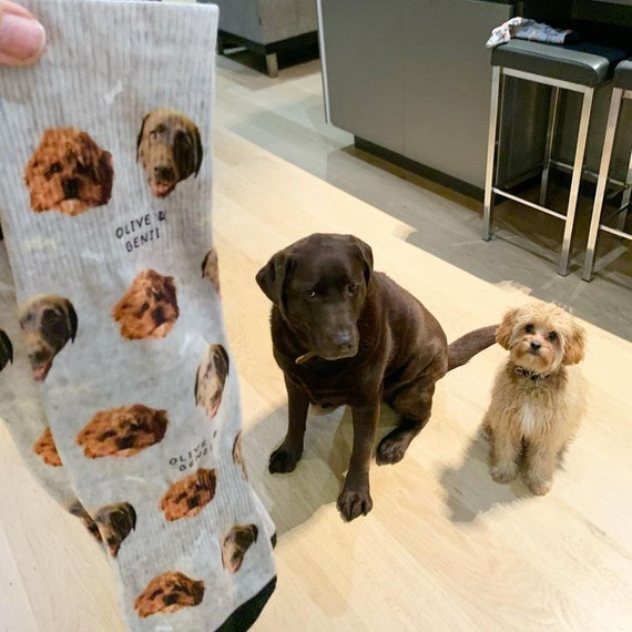 Custom Pet Socks 2 Faces Custom Photo Socks Custom Socks | Etsy