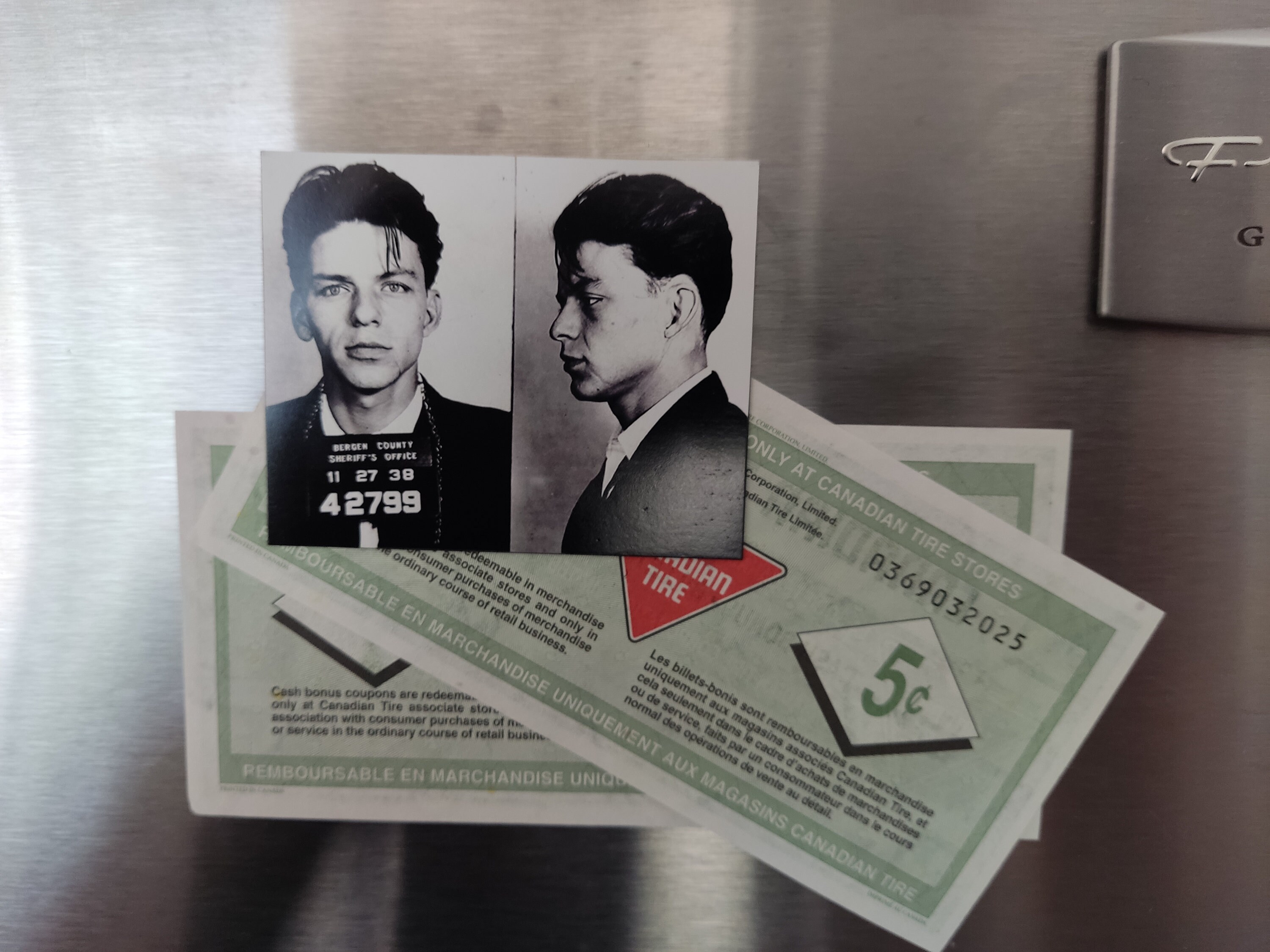 Frank Sinatra Mugshot - Fridge Photo Magnet 3"x2" - Etsy