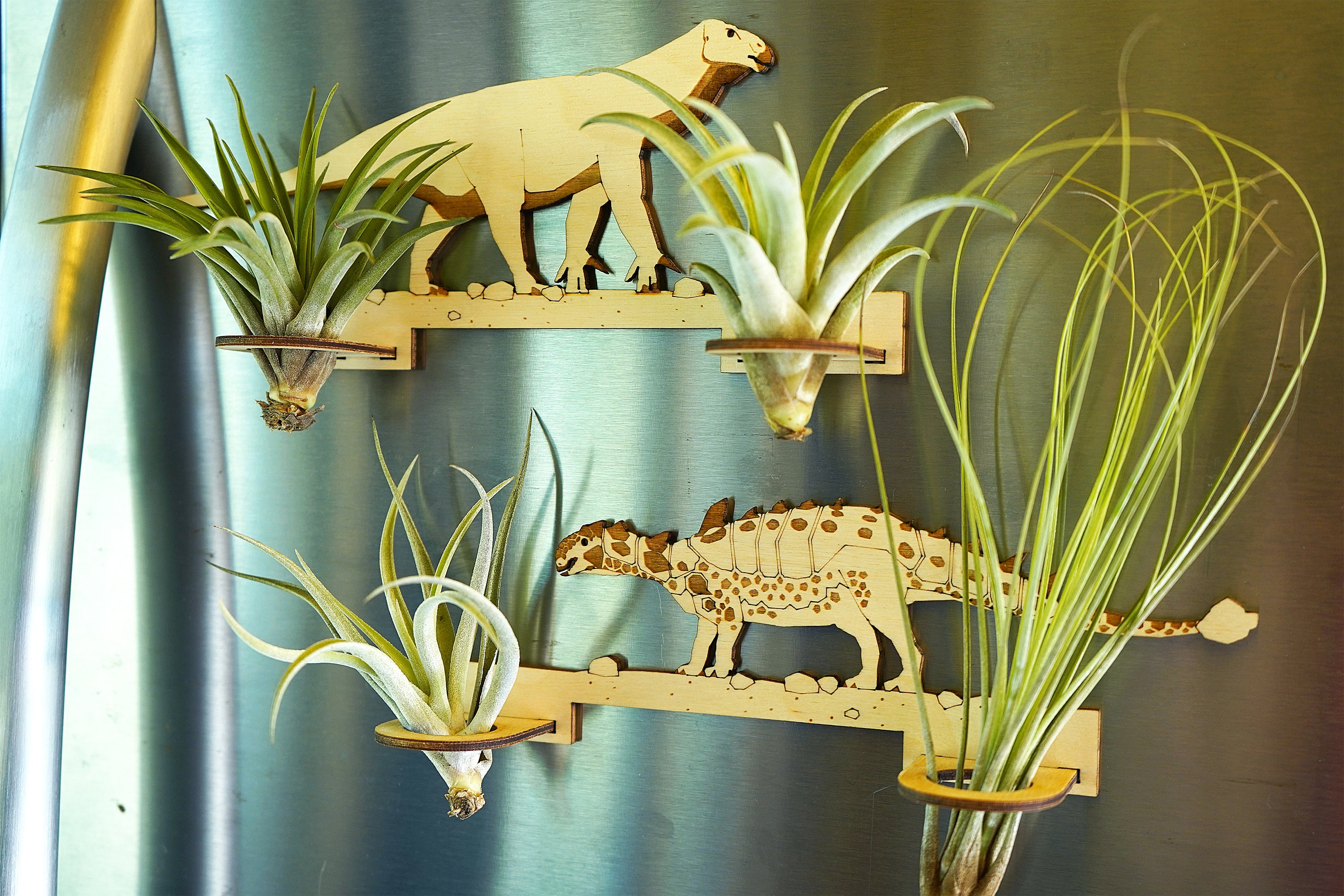 Dinosaur Air Plant Holder pick Your Dino - Etsy