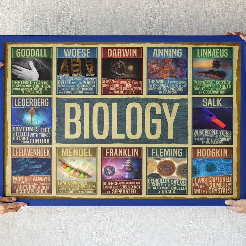 Biology Poster - Etsy