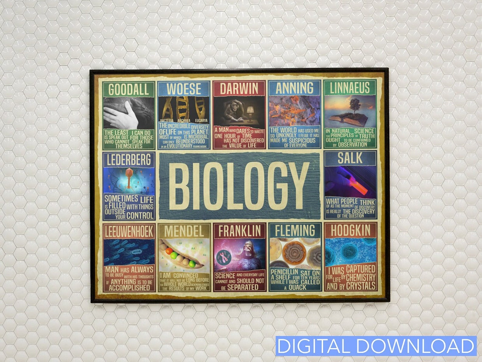 Science Art, Biology Poster, College Student Gift, Biology Art ...