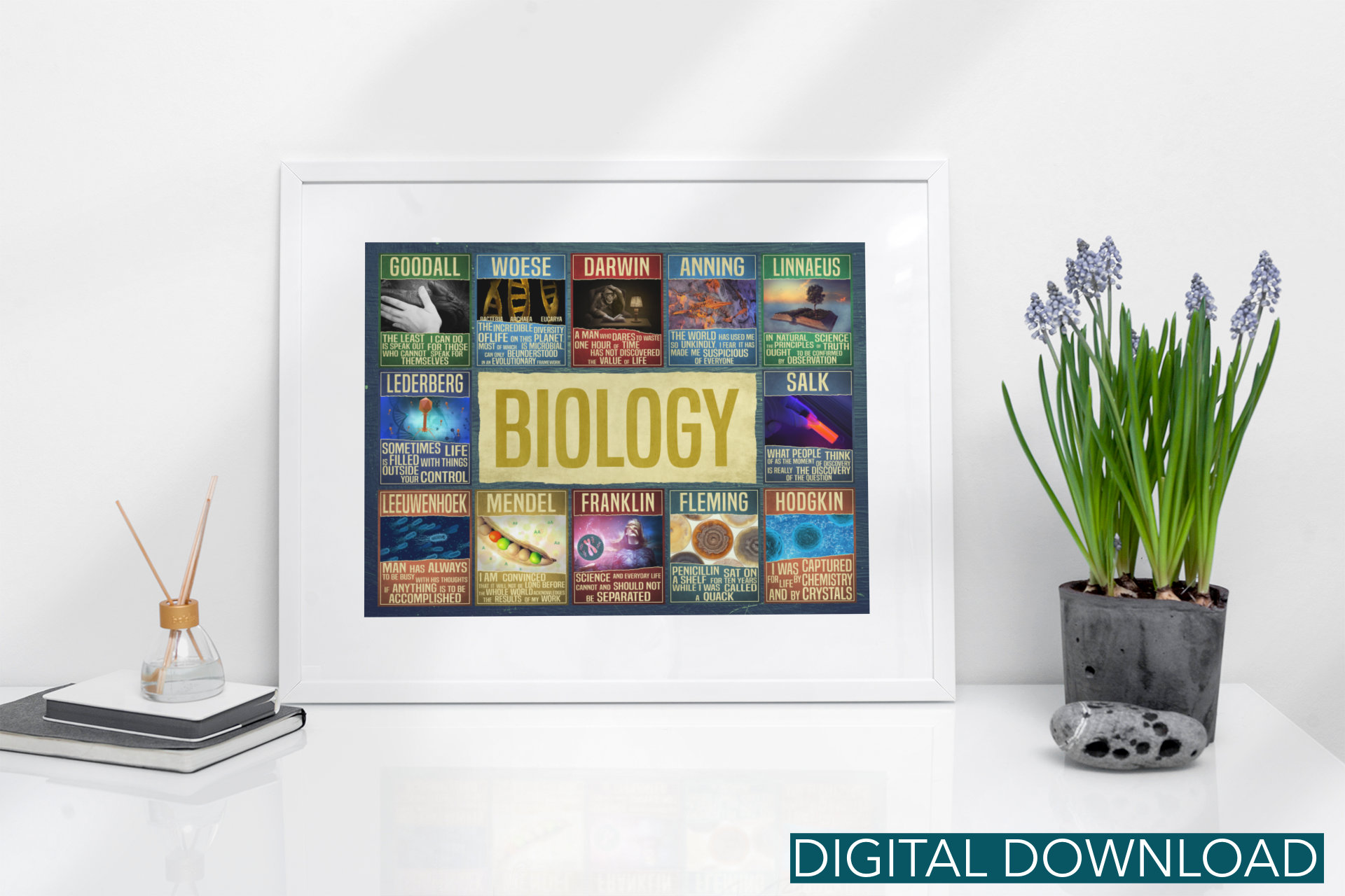 Biology art Science gift Kids room decor / Biology poster | Etsy