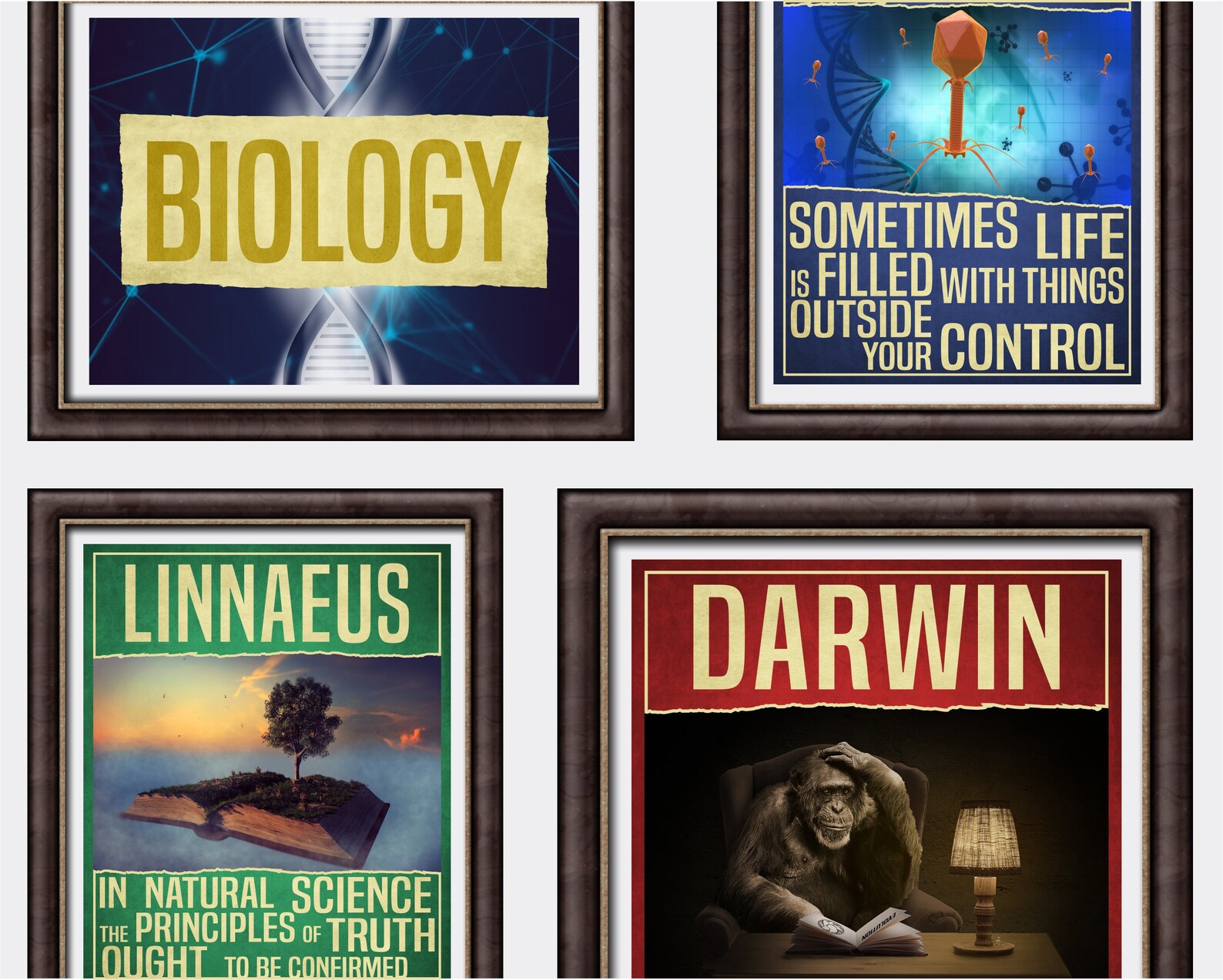Biology Prints Science Poster, Biology Decor Science Print, Science ...