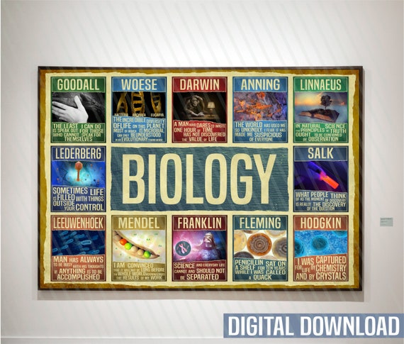 Science Art Biology Poster College Student Gift / Biology Art | Etsy