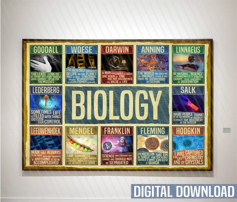 Science Art Biology Poster College Student Gift / Biology Art | Etsy