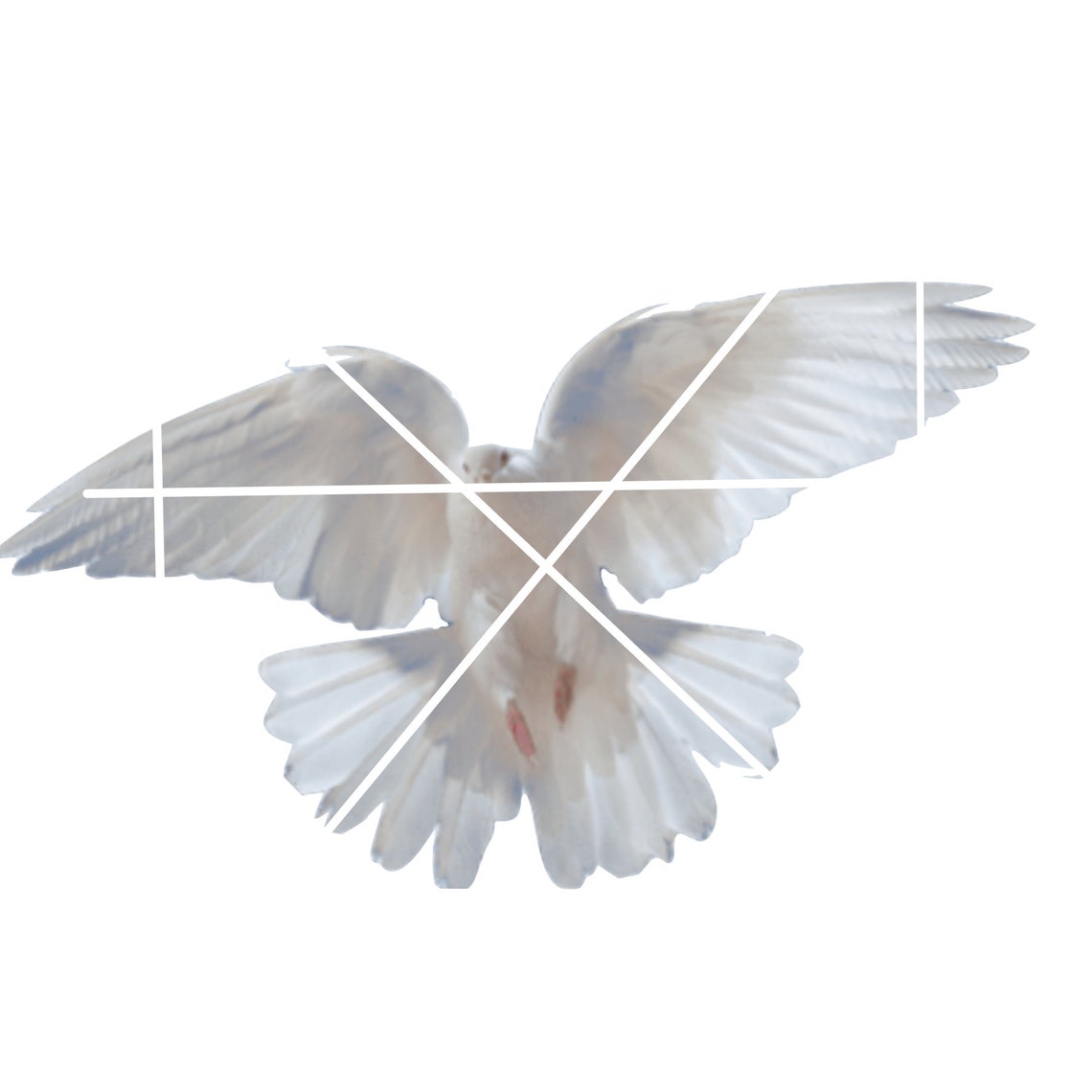 Funeral Dove PNG for Sublimation or Print and Cut - Etsy