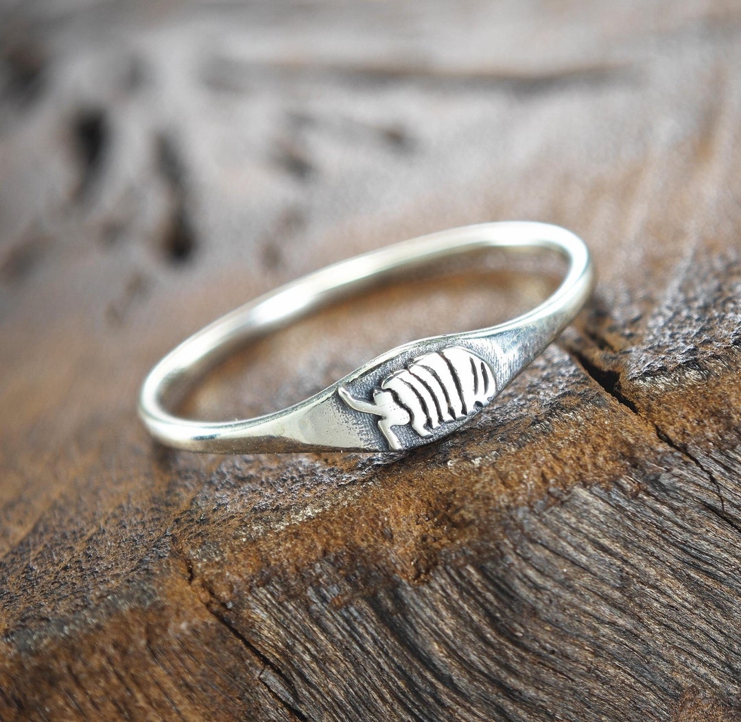 Silver Worm Insect Shape Ring - Etsy