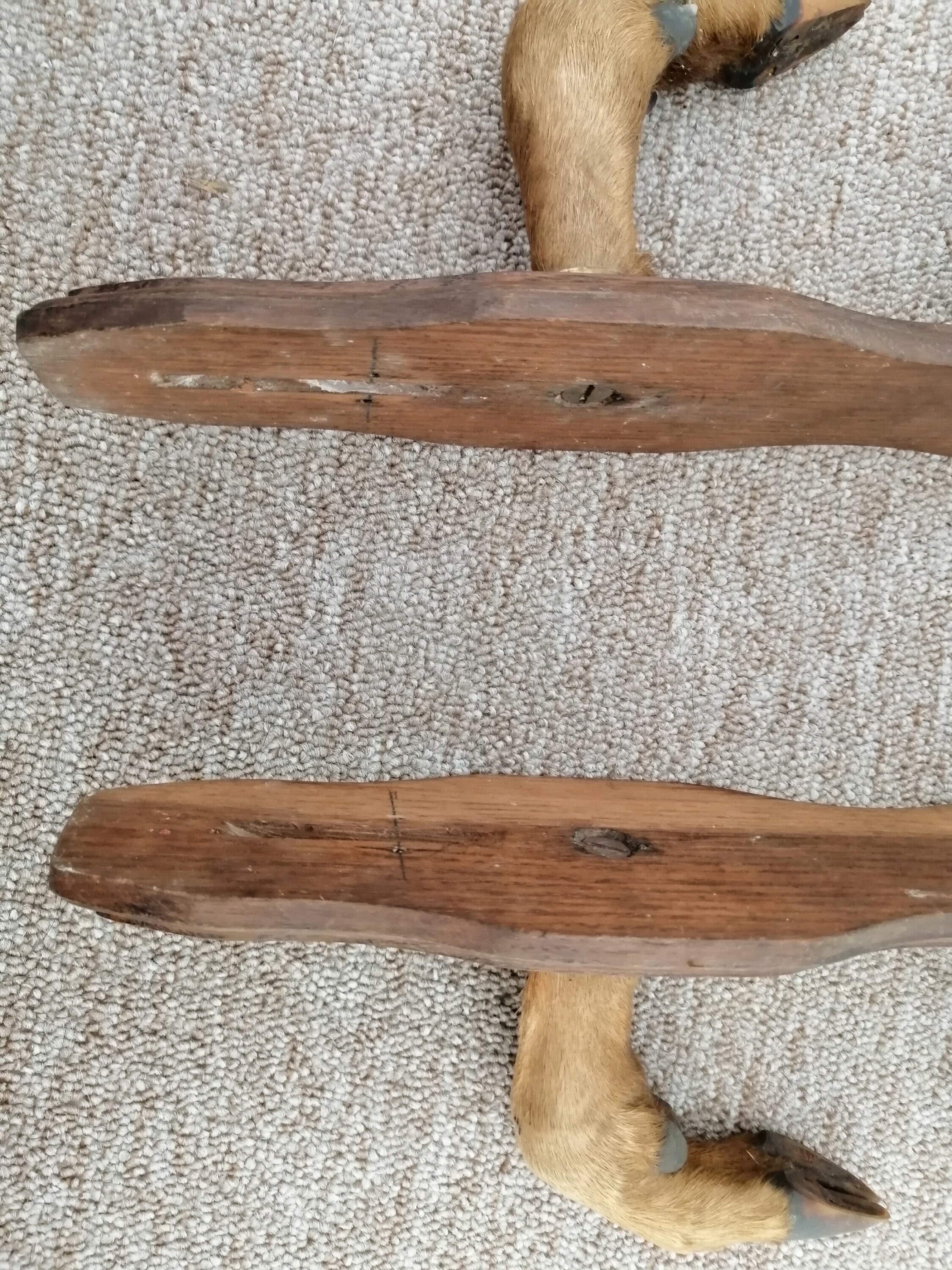 Vintage French Gun Rack Vintage Gun Goat Hooves Gun Rack - Etsy UK