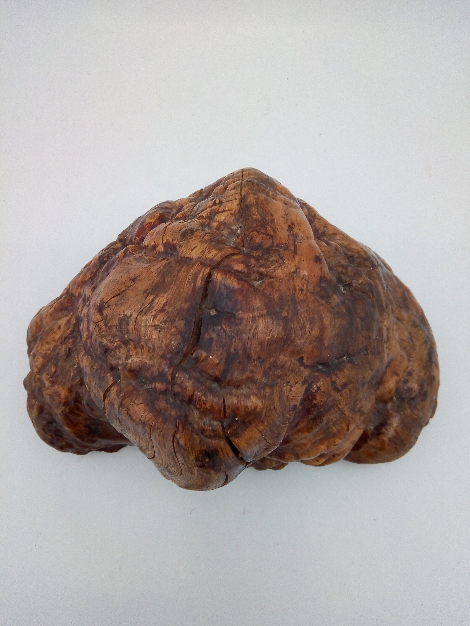Vintage Burr Wood Wooden Organic Natural Desktop Sculpture Home Decor ...