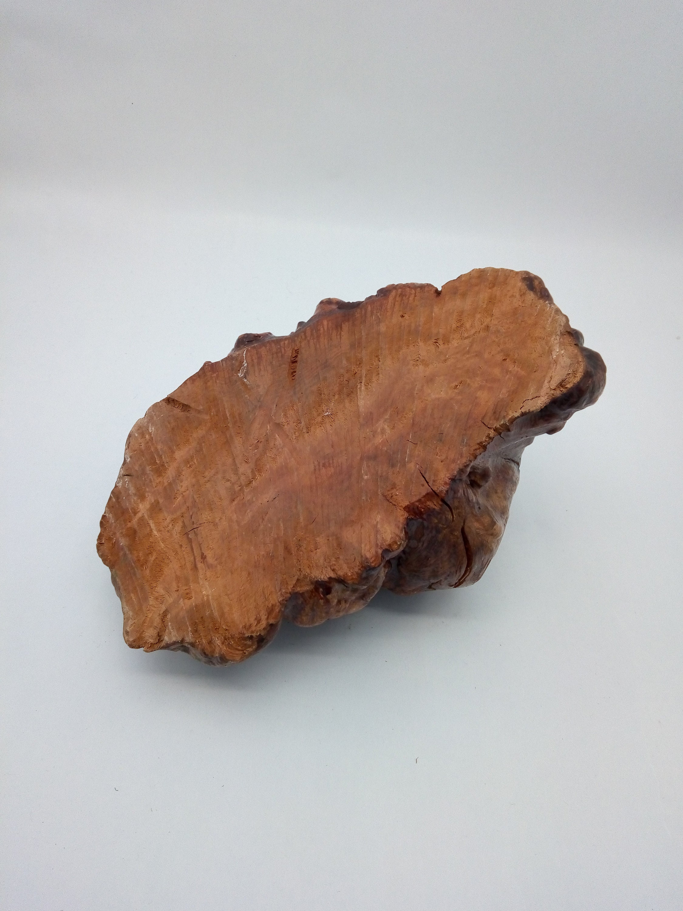 Vintage Burr Wood Wooden Organic Natural Desktop Sculpture Home Decor ...