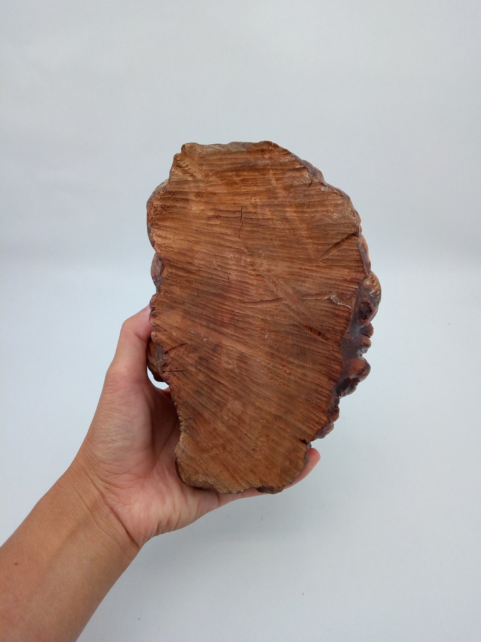 Vintage Burr Wood Wooden Organic Natural Desktop Sculpture Home Decor ...