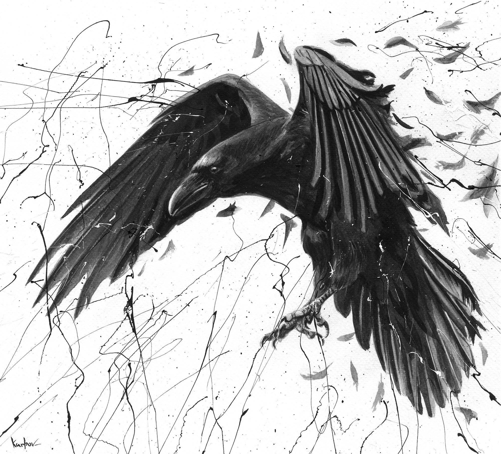 Raben Fliegende Skizze