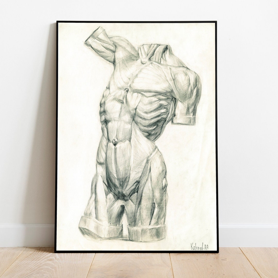Muscular Body Drawing - Ecorche Canvas Art Print, Academic Muscle ...
