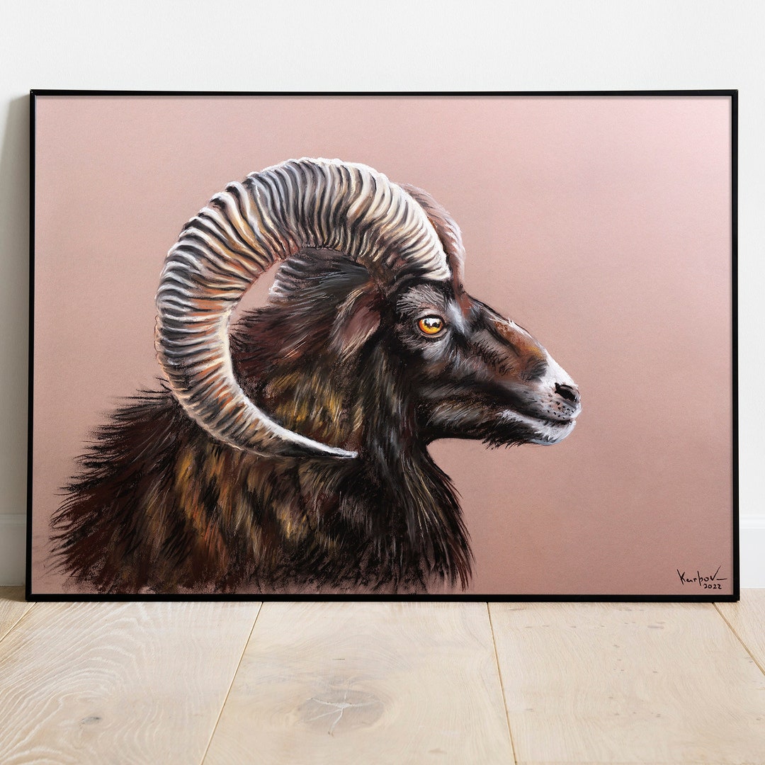 Ram Mouflon Pastel Drawing - Canvas Paper Art Print, Bighorn Goat Head ...