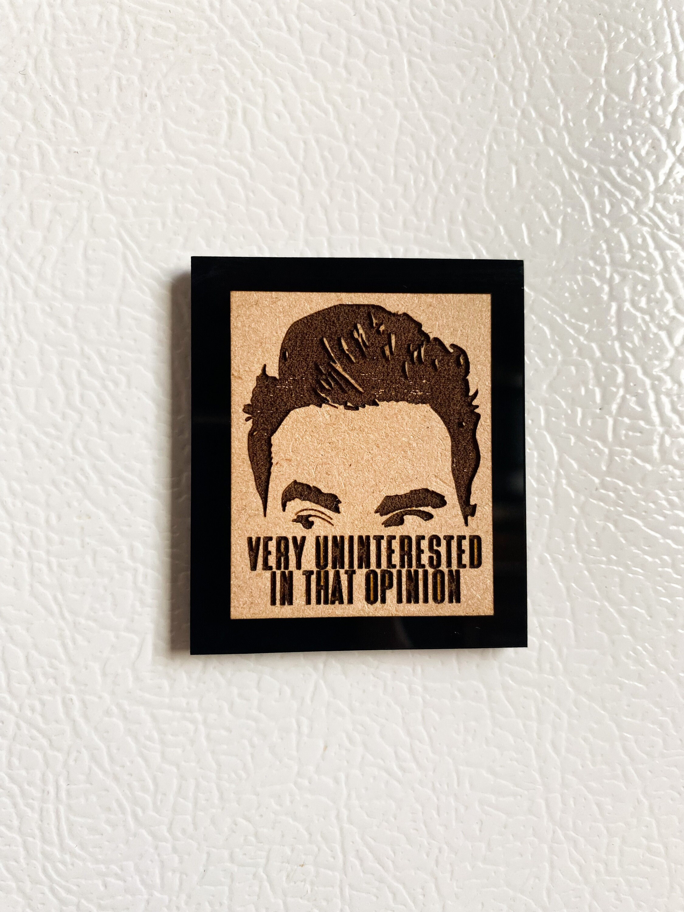 David Magnet | Very Uninterested in That Opinion | Magnet - Etsy