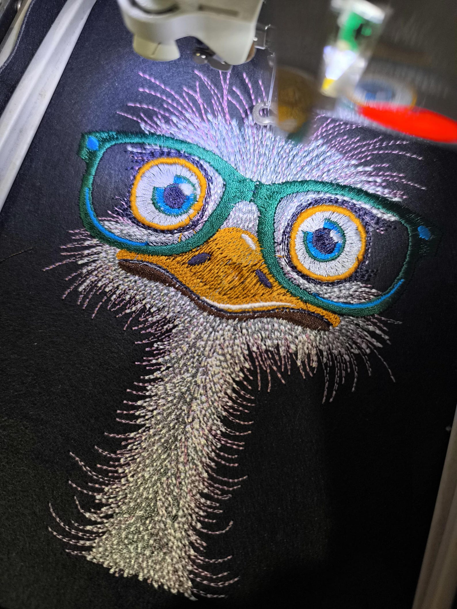 Funny Crazy Ostrich With Glasses Machine Embroidery Designs File ...