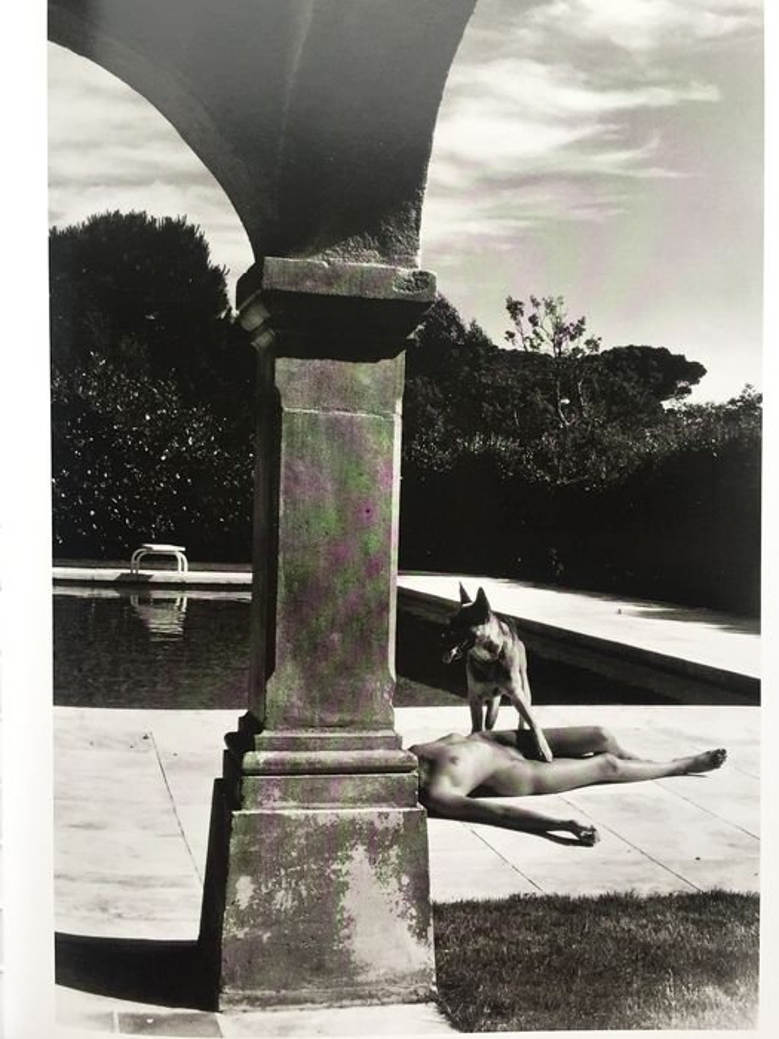 Helmut Newton Sex And Landscapes Etsy Australia