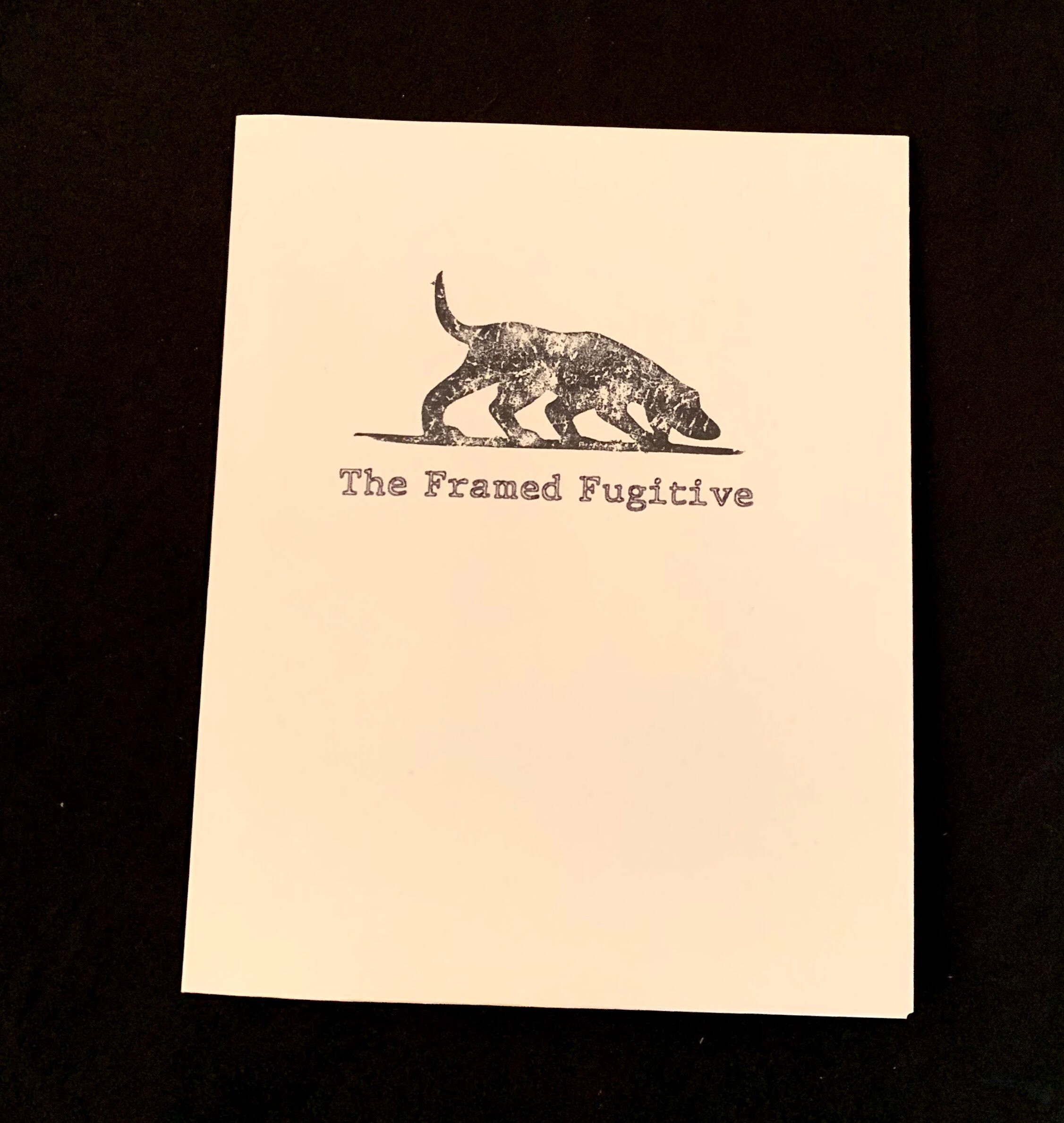 The Framed Fugitive: A Bloodhound Mysteries Physical Case File - Etsy